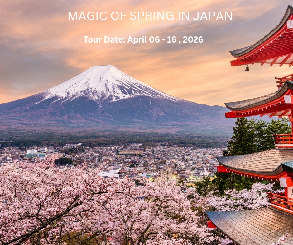 Magic of Spring in Japan Tour | Cherry Blossom Experience with Faith ...